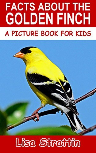 Facts About The Golden Finch by Lisa Strattin | Goodreads