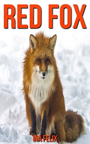 Red Fox: Children Book of Fun Facts & Amazing Photos on Animals in ...
