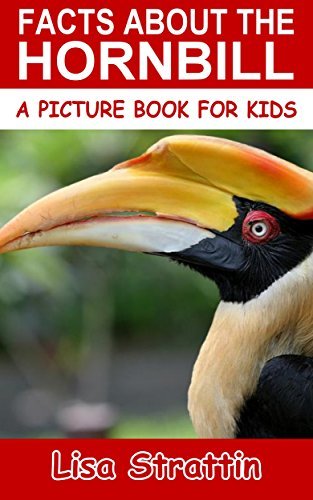 Facts About The Hornbill by Lisa Strattin | Goodreads