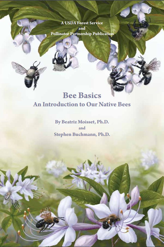 Bee Basics: An Introduction to Our Native Bees by Beatriz Moisset ...