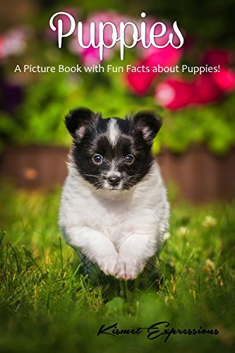 Puppies: A Picture Book with Fun Facts about Puppies! by Kismet ...