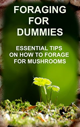 Foraging For Dummies: Essential Tips On How To Forage For Mushrooms by ...