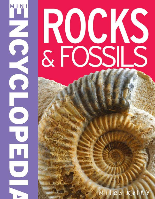 Rocks and Fossils (Mini Encyclopedias #2) by Chris Pellant | Goodreads