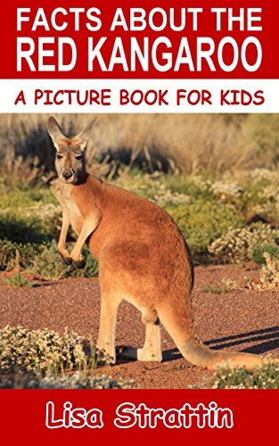 Facts About The Red Kangaroo by Lisa Strattin | Goodreads