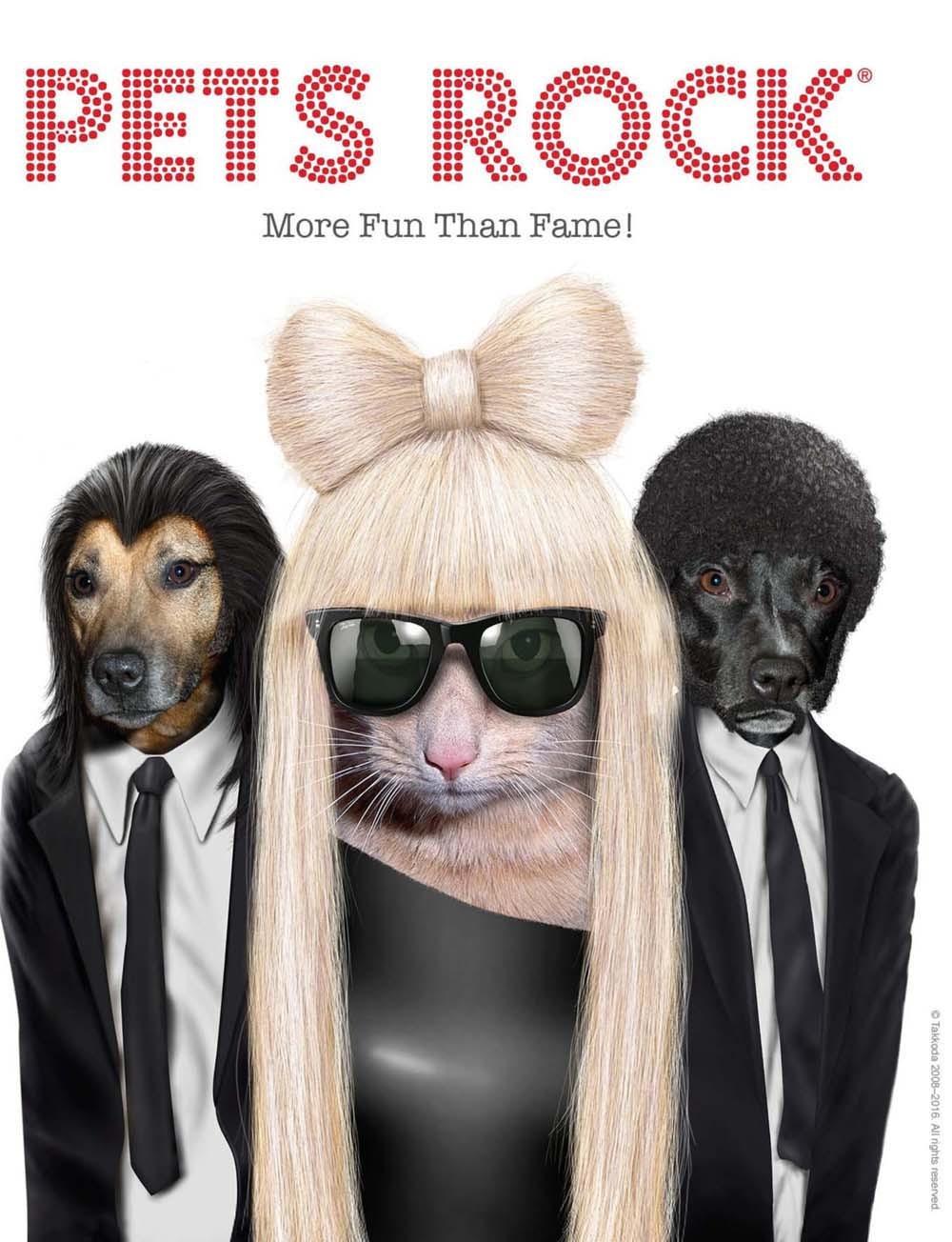 Pets Rock®: More Fun Than Fame! (Y) by Joel Jessup | Goodreads