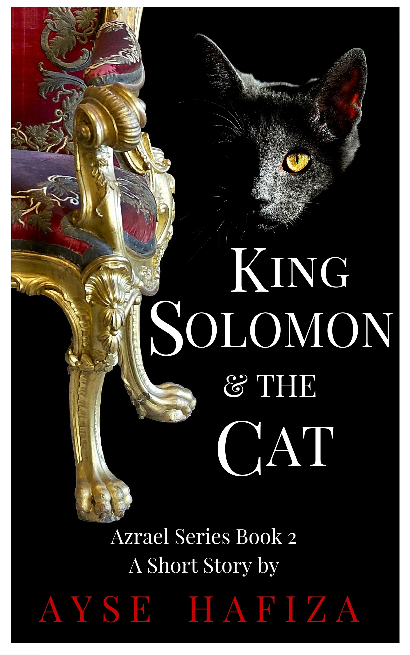 King Solomon and the Cat (Azrael #2) by Ayse Hafiza | Goodreads
