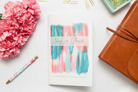 Joy in Christ by Kristin Schmucker | Goodreads