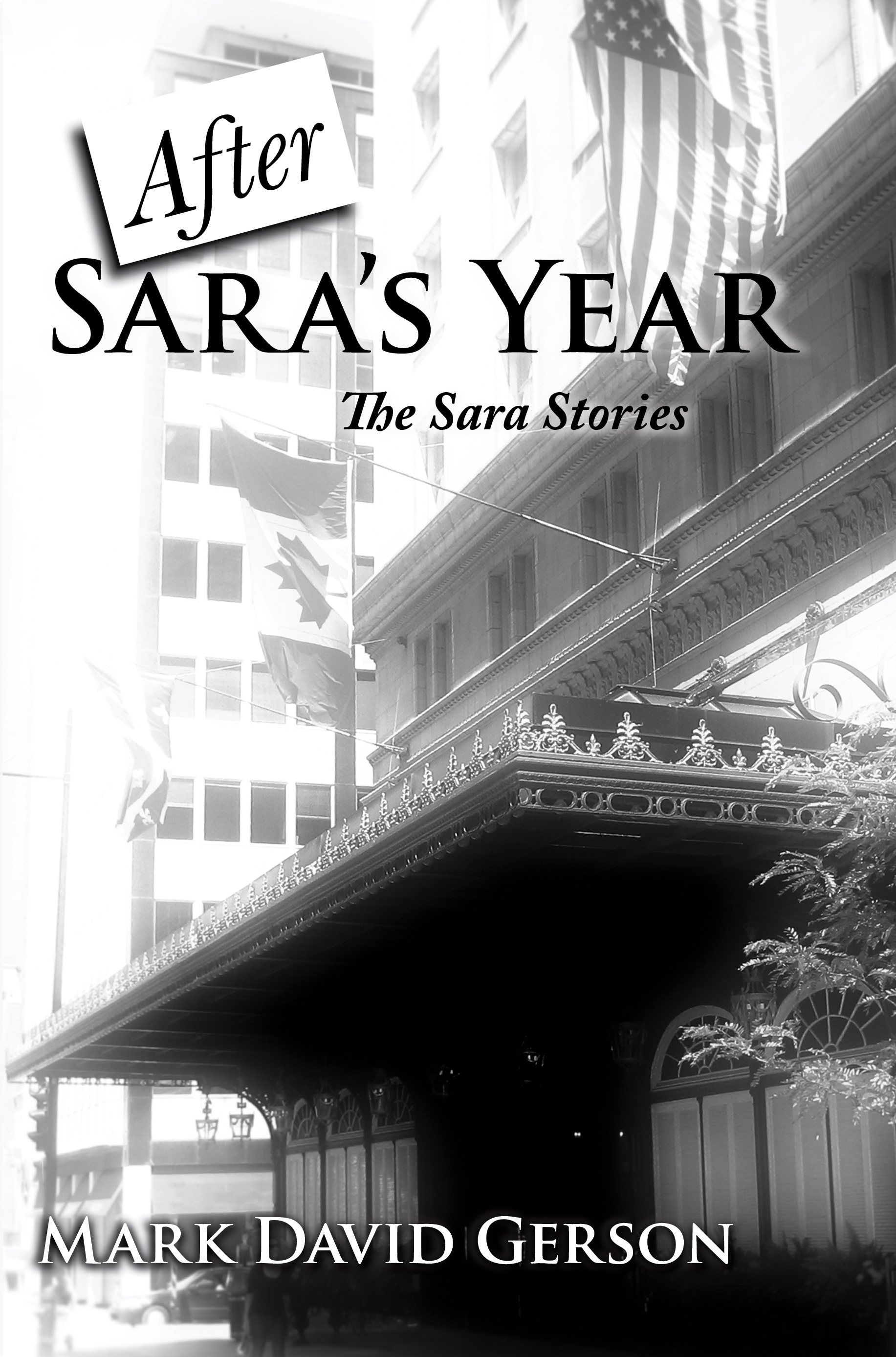 After Sara's Year by Mark David Gerson | Goodreads