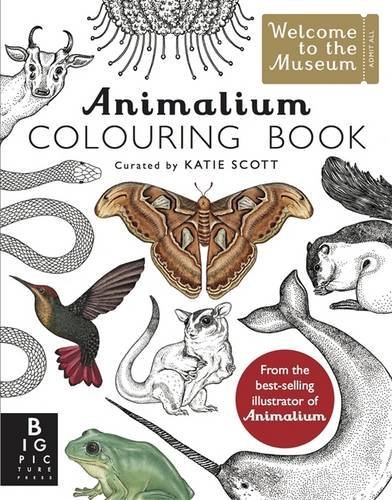 Animalium Colouring Book (Welcome To The Museum) by Katie Scott | Goodreads