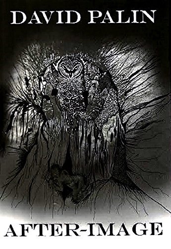 After-Image: You can hide - the past will seek by David Palin | Goodreads