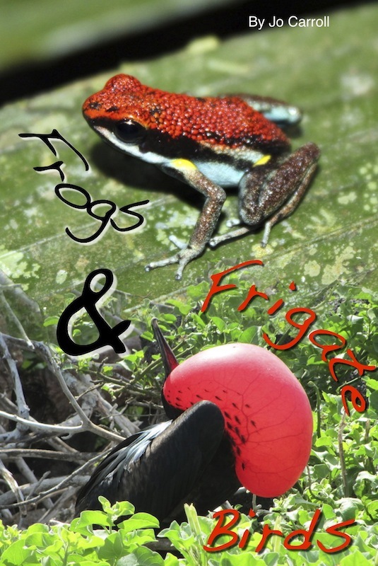 Frogs and Frigate Birds(Over the Hill goes to Ecuador) by Jo Carroll ...