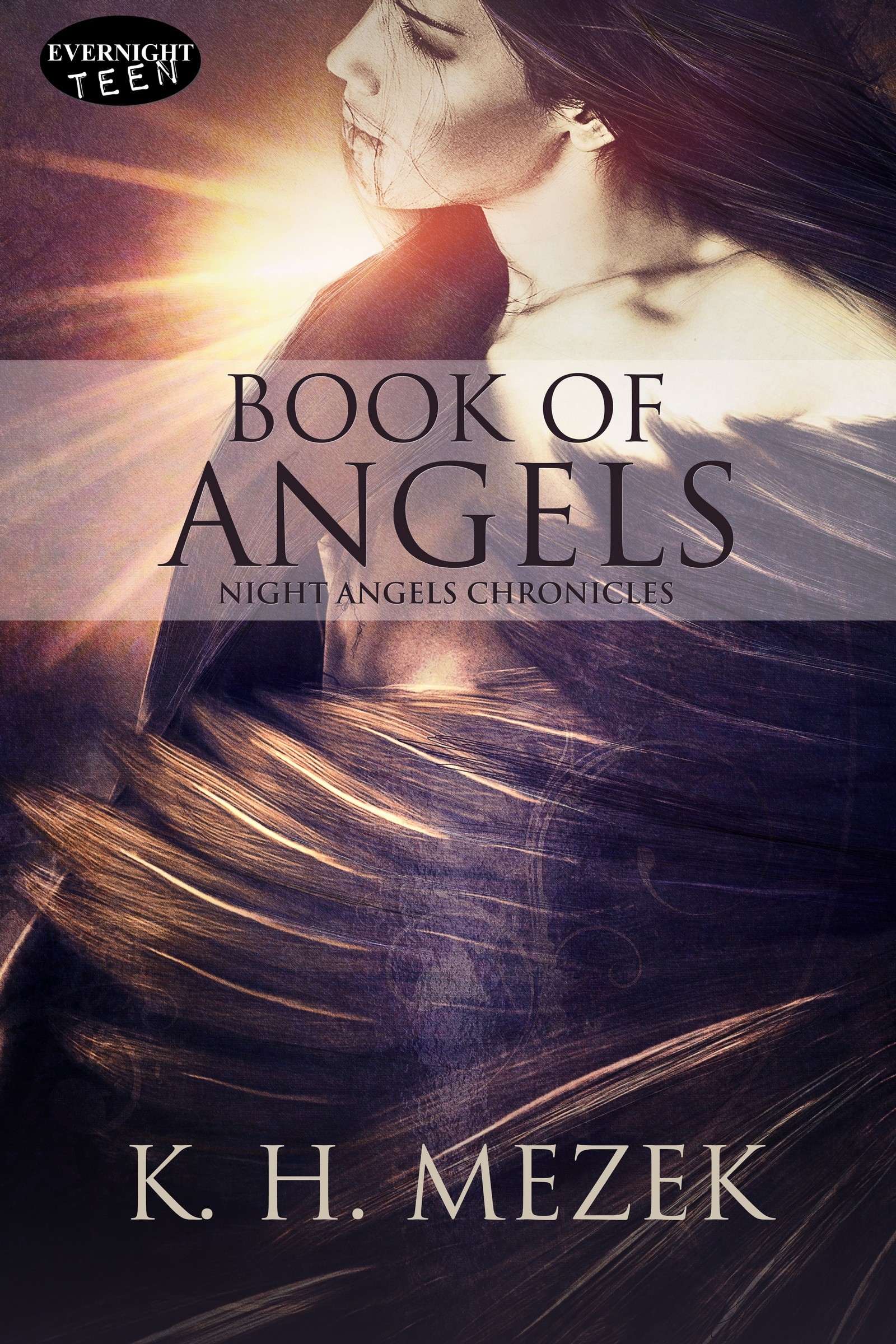 Book of Angels (Night Angels Chronicles, #2) by K.H. Mezek | Goodreads