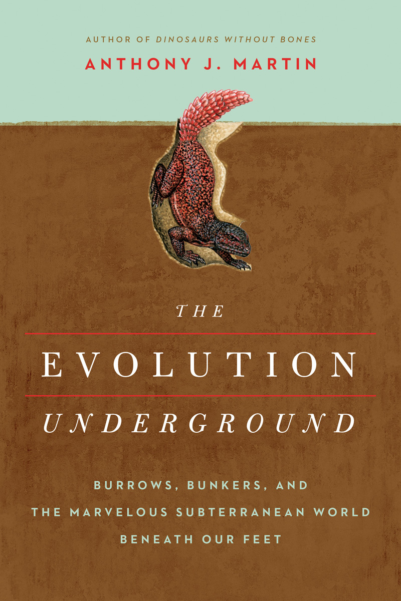The Evolution Underground: Burrows, Bunkers, and the Marvelous ...