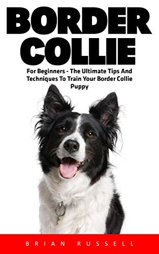 Border Collie: For Beginners - The Ultimate Tips And Techniques To ...