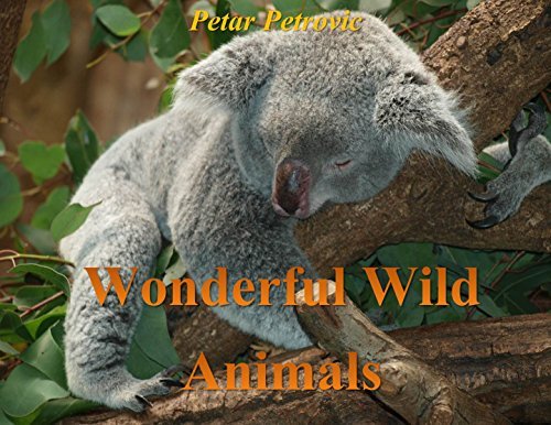 Wonderful Wild Animals: illustrated book about wild animals by Petar ...