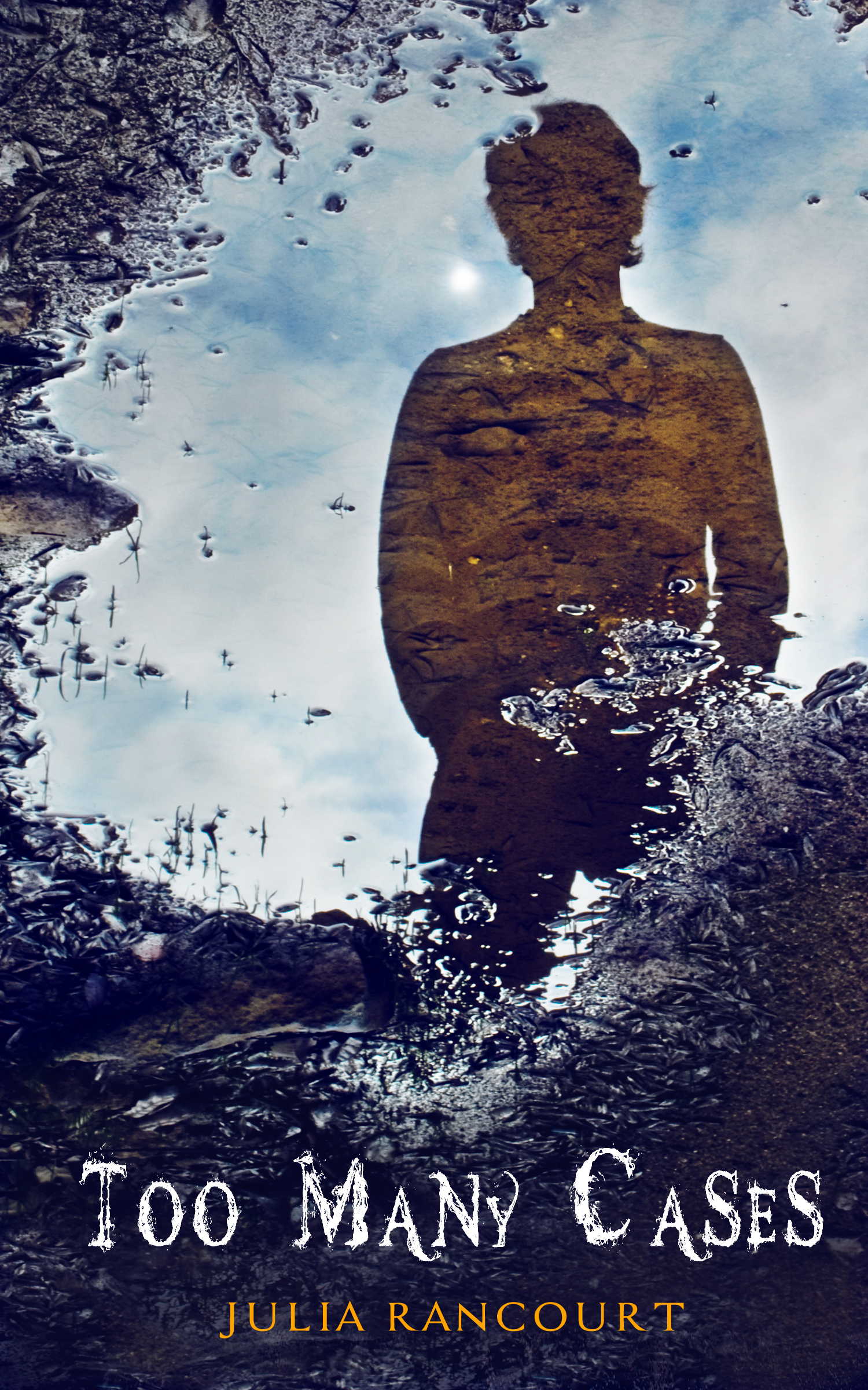 Too Many Cases by Julia Rancourt | Goodreads