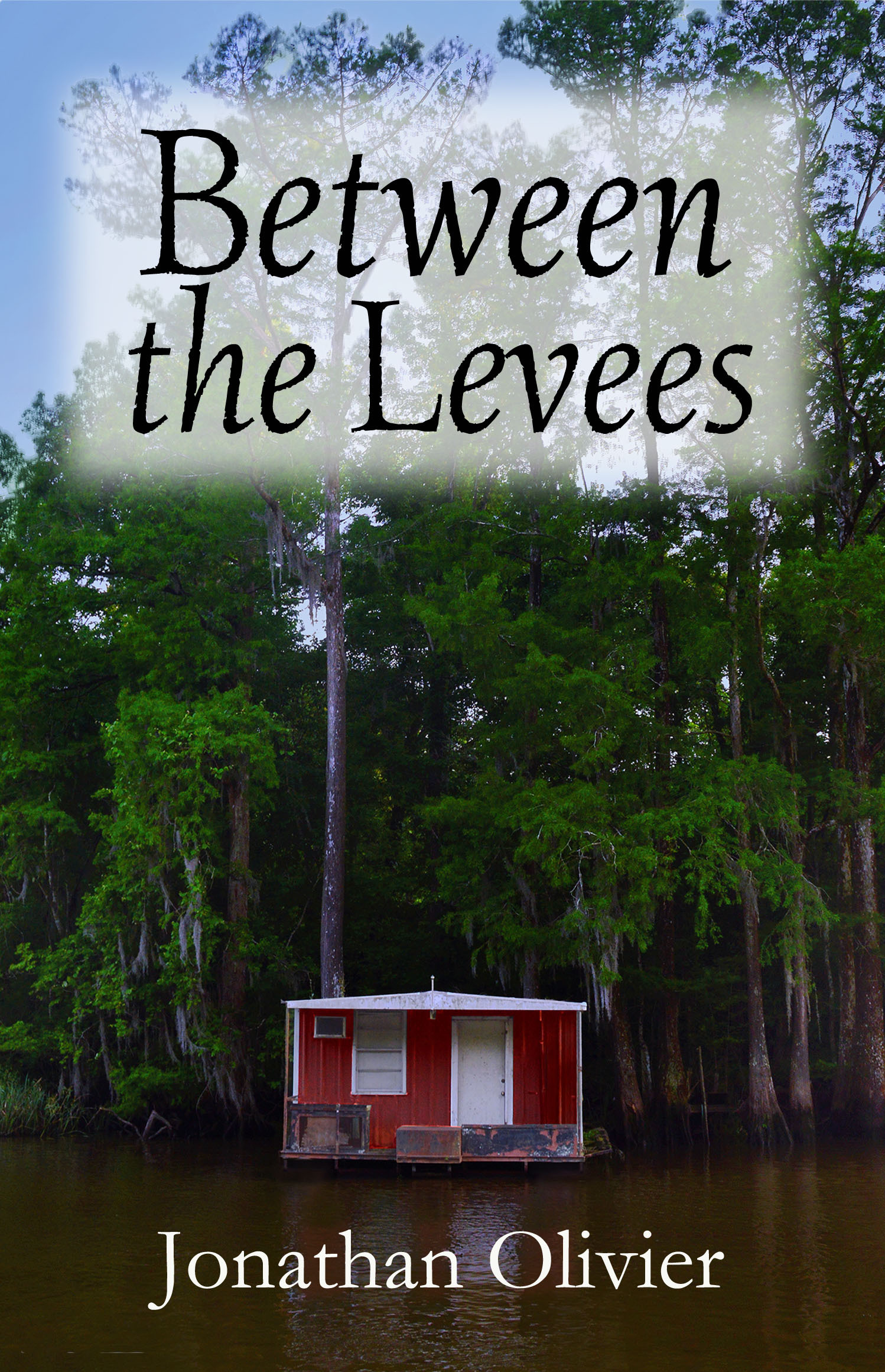 Between the Levees by Jonathan Olivier | Goodreads