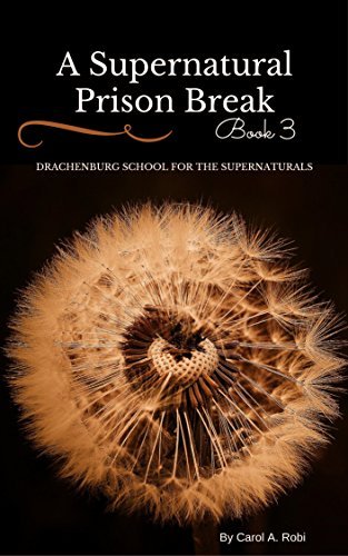 A Supernatural Prison Break by Carol A. Robi | Goodreads