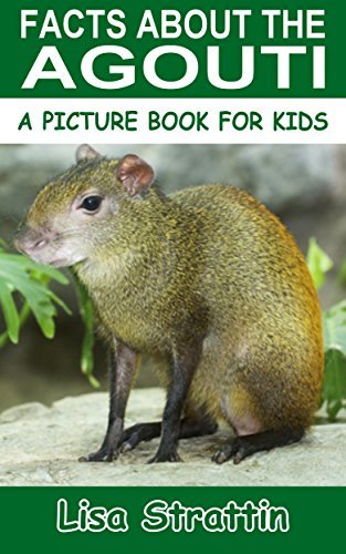Facts About The Agouti (A Picture Book For Kids 94) by Lisa Strattin ...