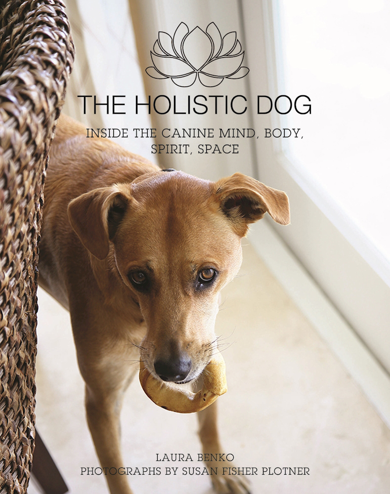 The Holistic Dog: Inside the Canine Mind, Body, Spirit, Space by Laura ...