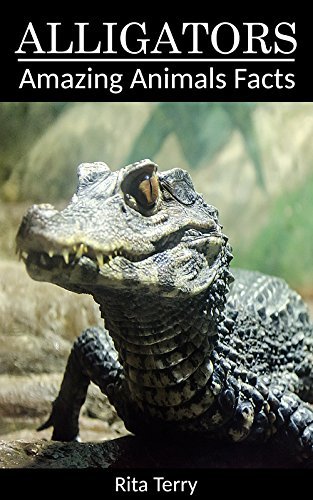 Alligators: Amazing Photos & Fun Facts Book About Alligators by Rita ...