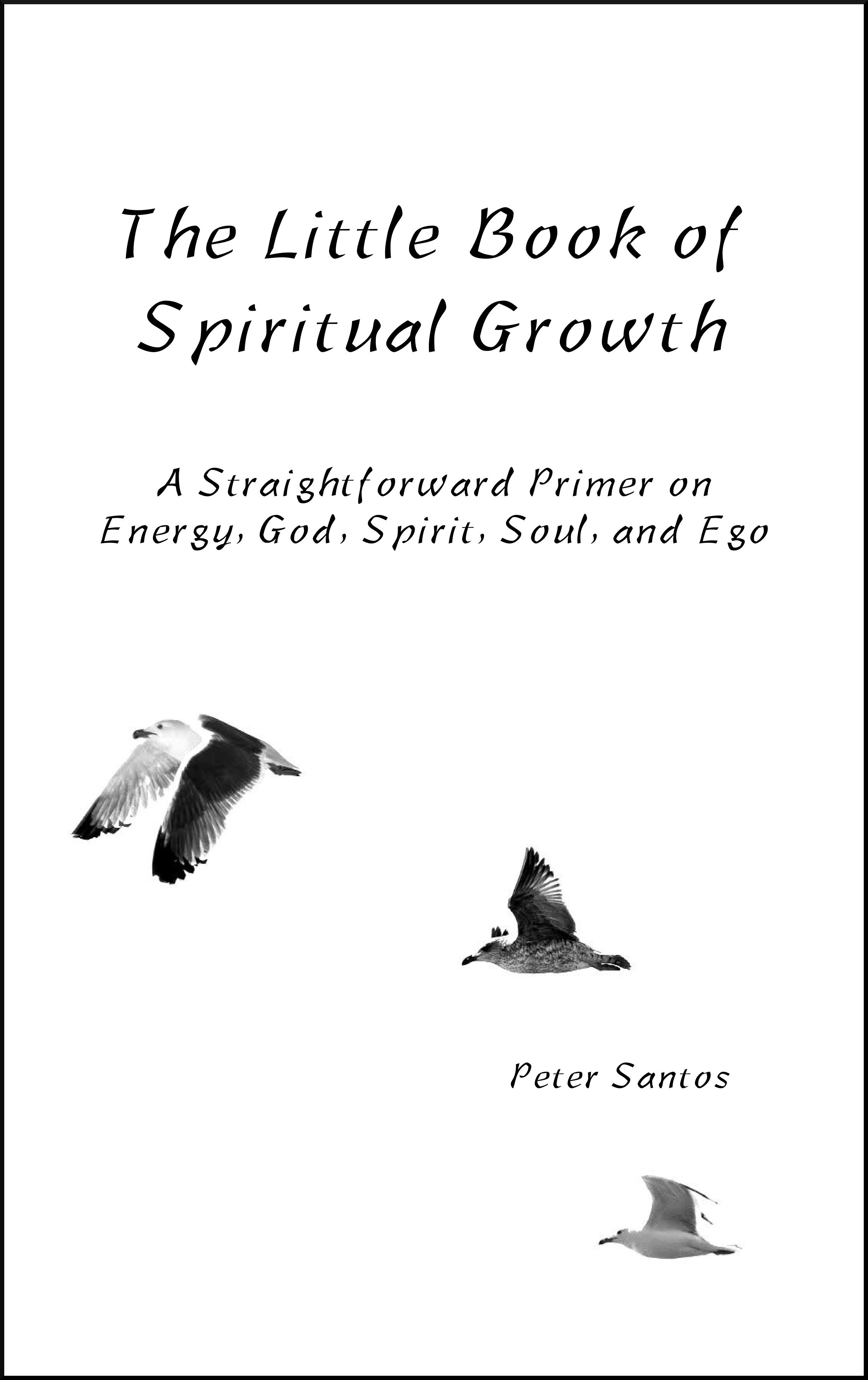 The Little Book of Spiritual Growth: A Straightforward Primer on Energy ...