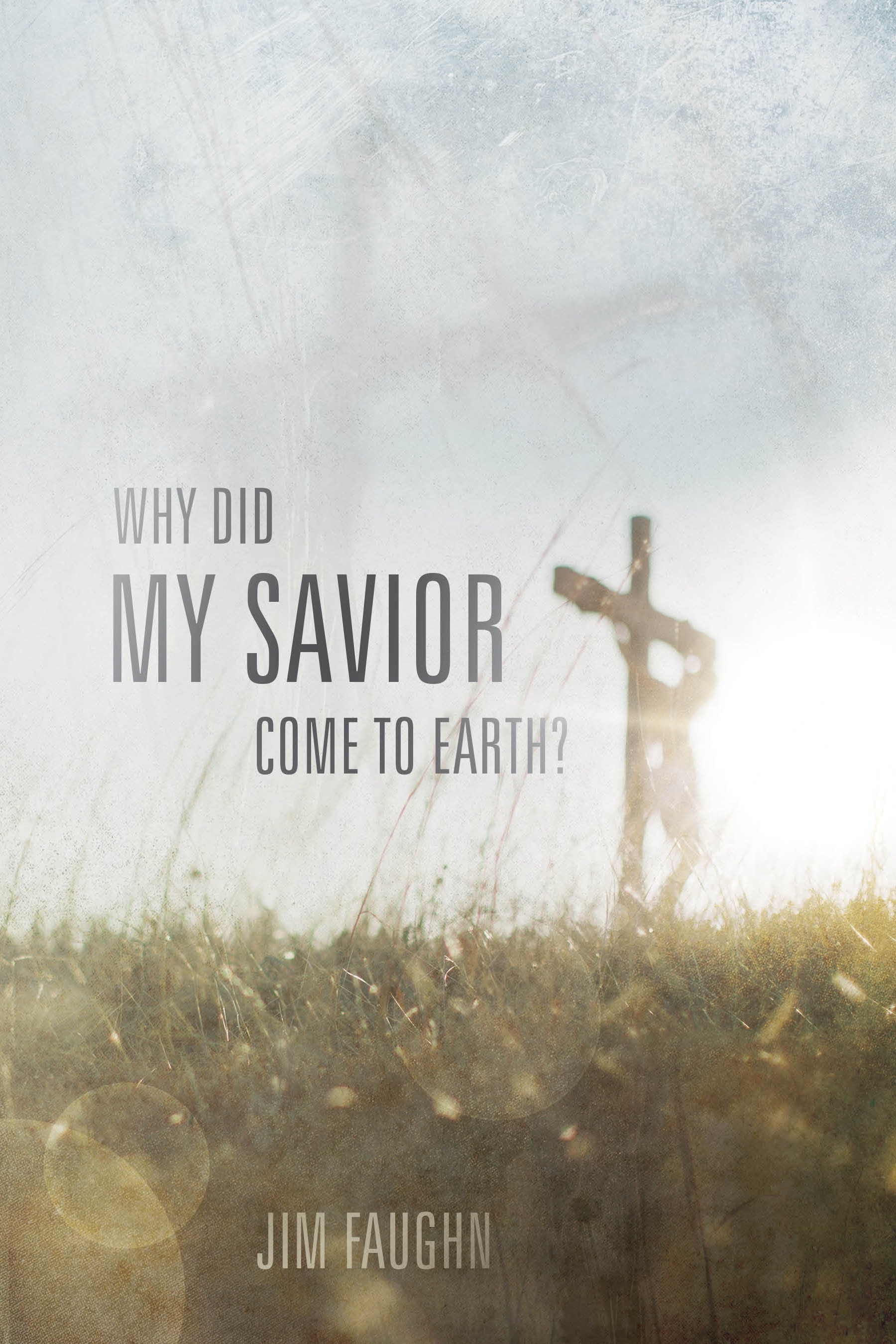 Why Did My Savior Come to Earth? by Jim Faughn | Goodreads