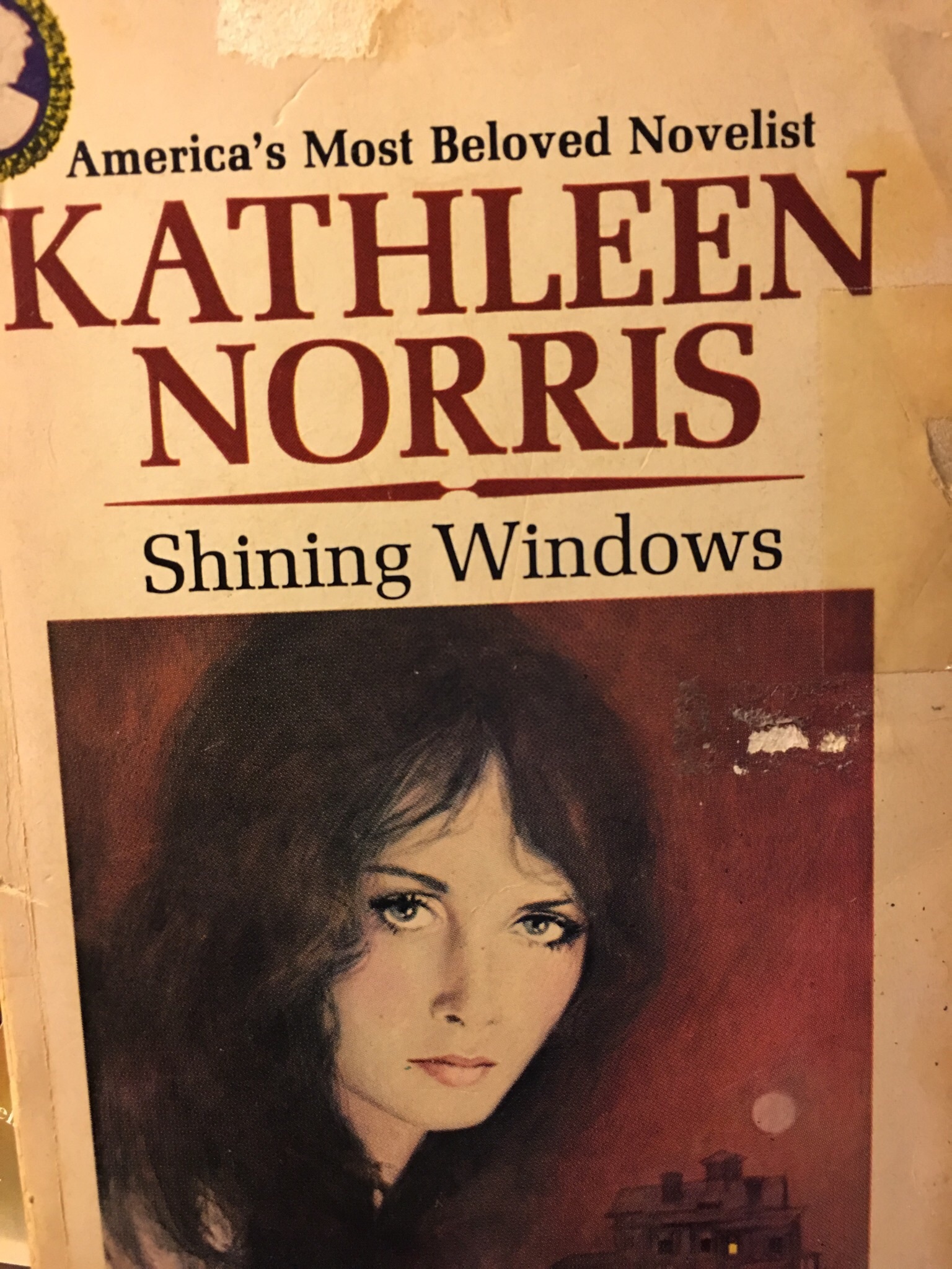 Shining Windows by Kathleen Thompson Norris | Goodreads