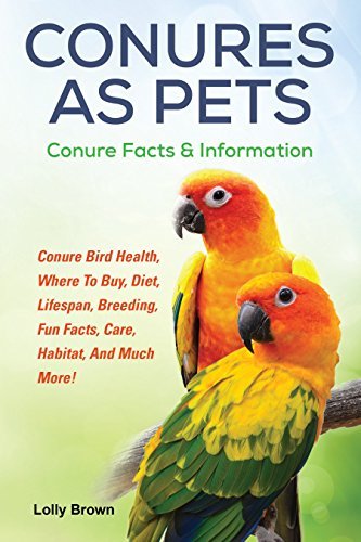Conures as Pets: Conure Bird Health, Where To Buy, Diet, Lifespan ...