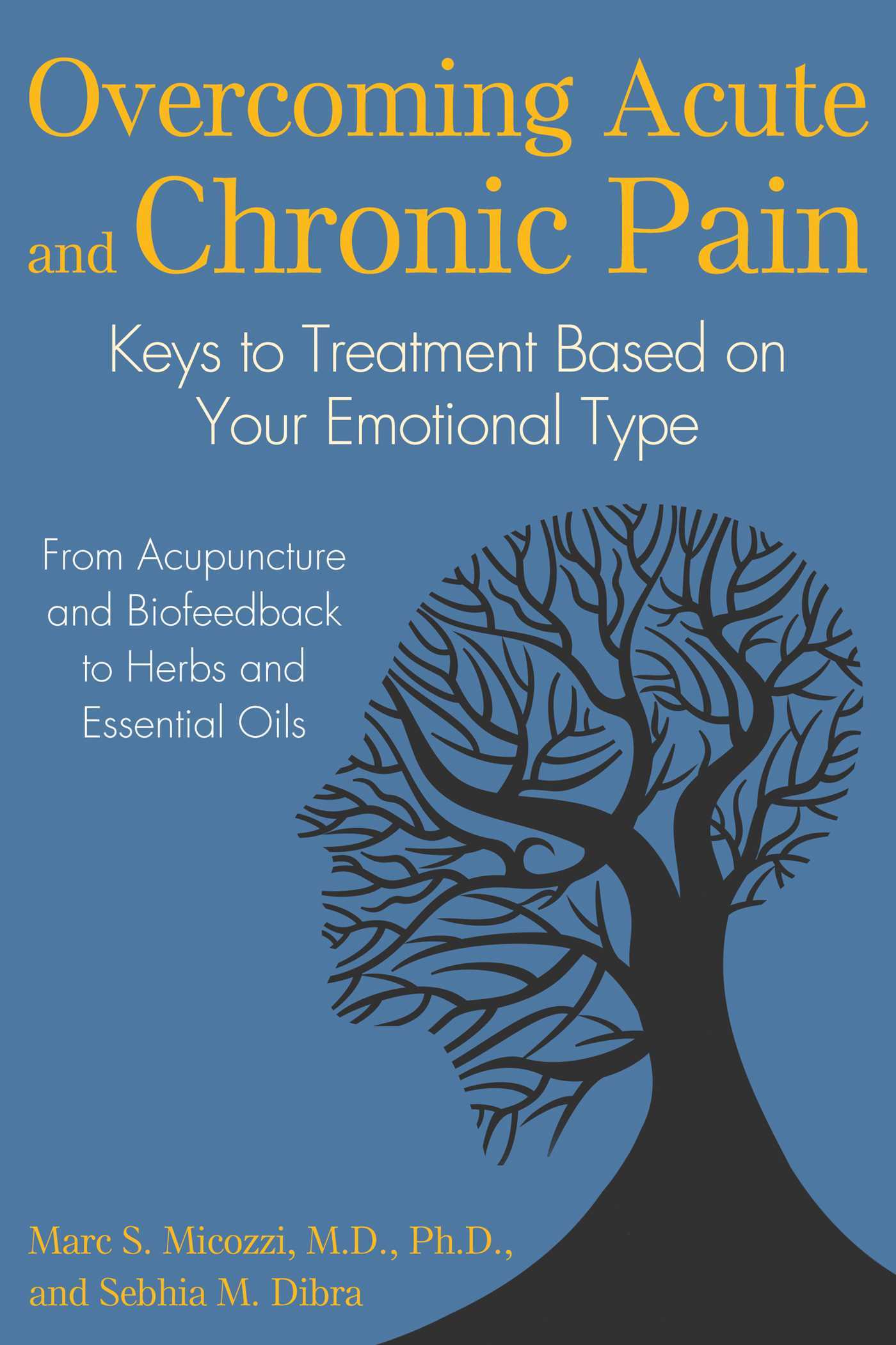 Overcoming Acute and Chronic Pain: Keys to Treatment Based on Your ...