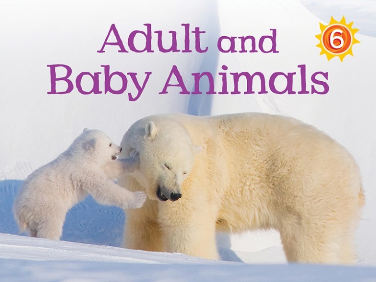 Adult and Baby Animals by Kelly Ward | Goodreads