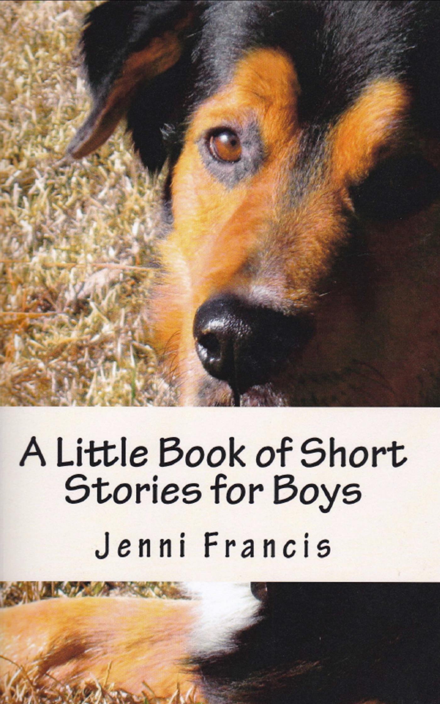 A Little Book of Short Stories for Boys by Jenni Francis | Goodreads