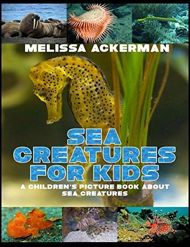 Sea Creatures for Kids: A Children's Picture Book about Sea Creatures ...