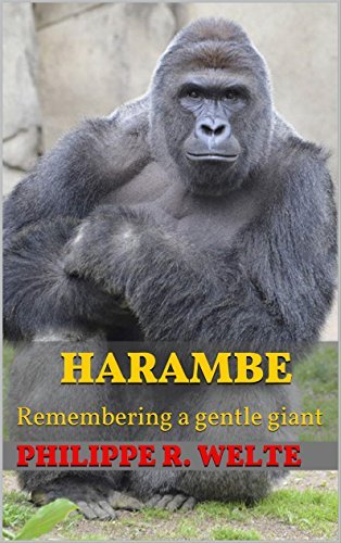 HARAMBE, Remembering a gentle giant: A tribute to a murdered animal for ...