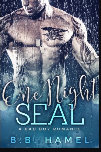 One Night SEAL by B.B. Hamel | Goodreads