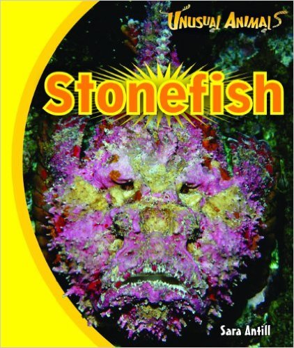 Stonefish by Sara Antill | Goodreads