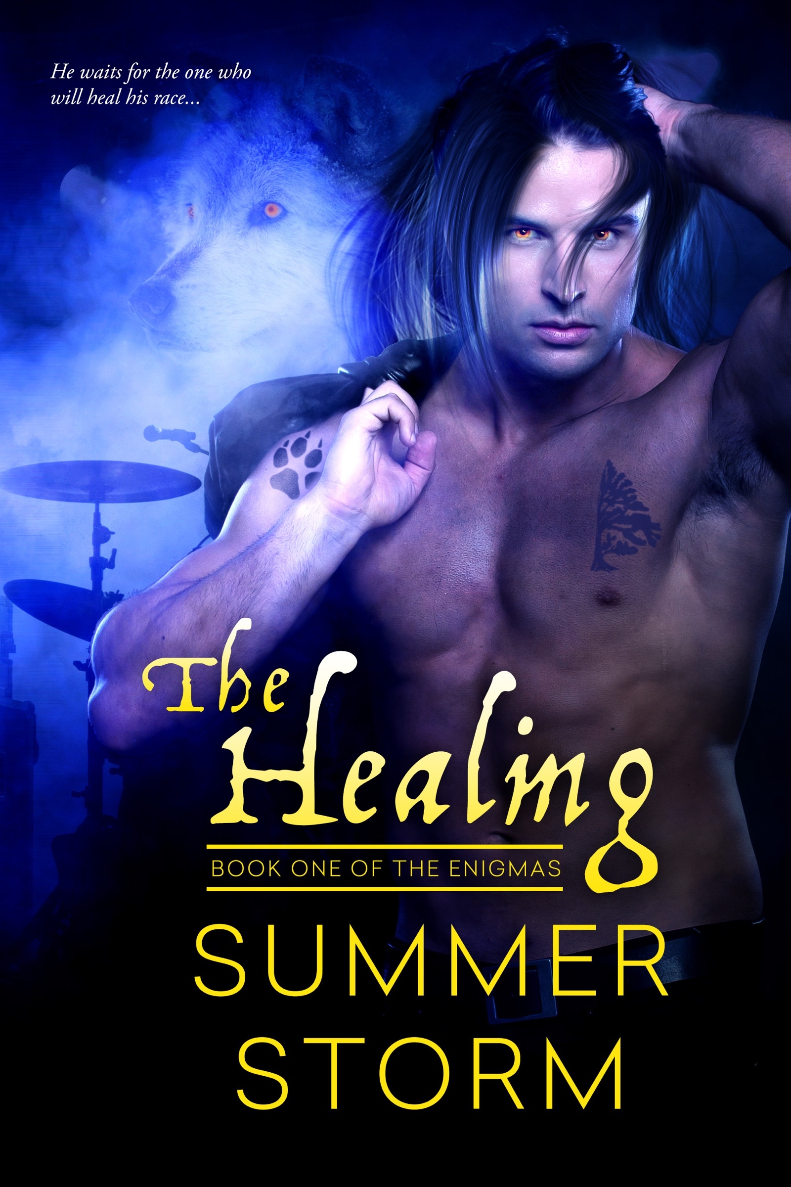 The Healing: Book One of the Enigmas by Summer Storm | Goodreads