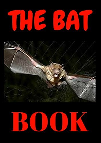 Bird picture books ( A Illustrated guide to bat Species for ...