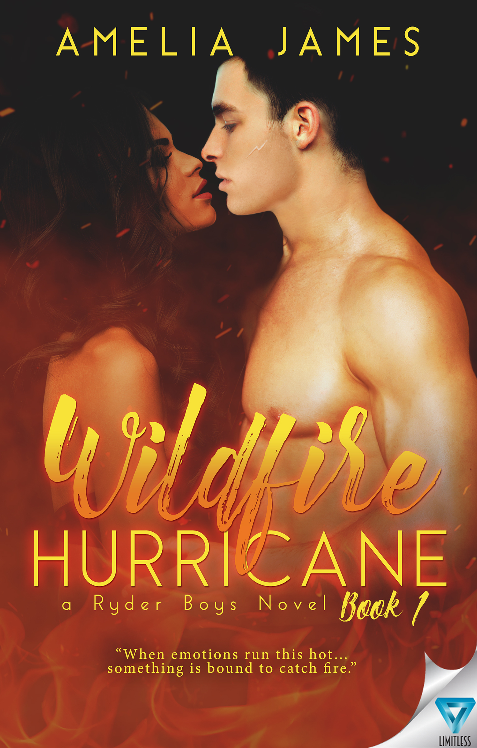 Wildfire Hurricane (A Ryder Boys Novel) by Amelia James | Goodreads