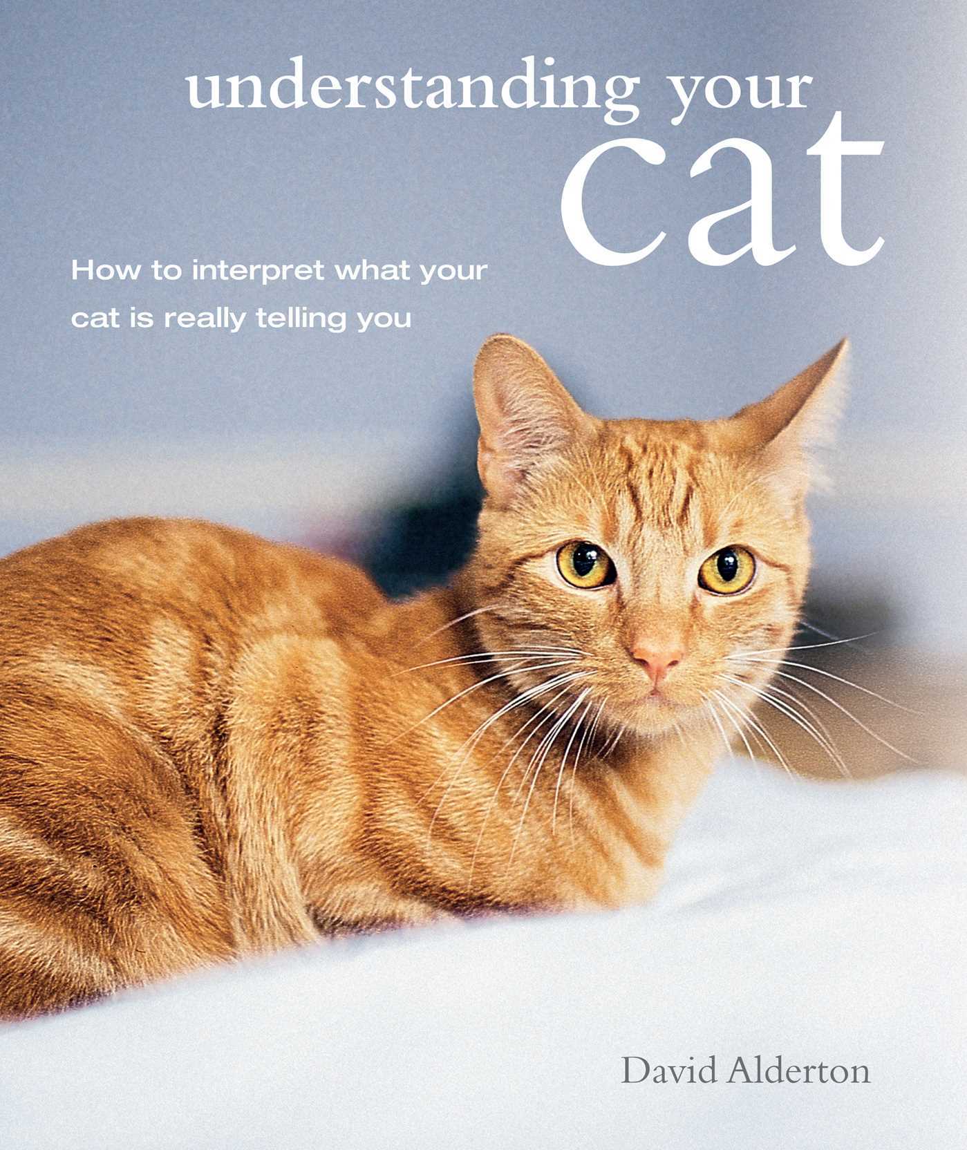Understanding Your Cat: How to interpret what your cat is really ...