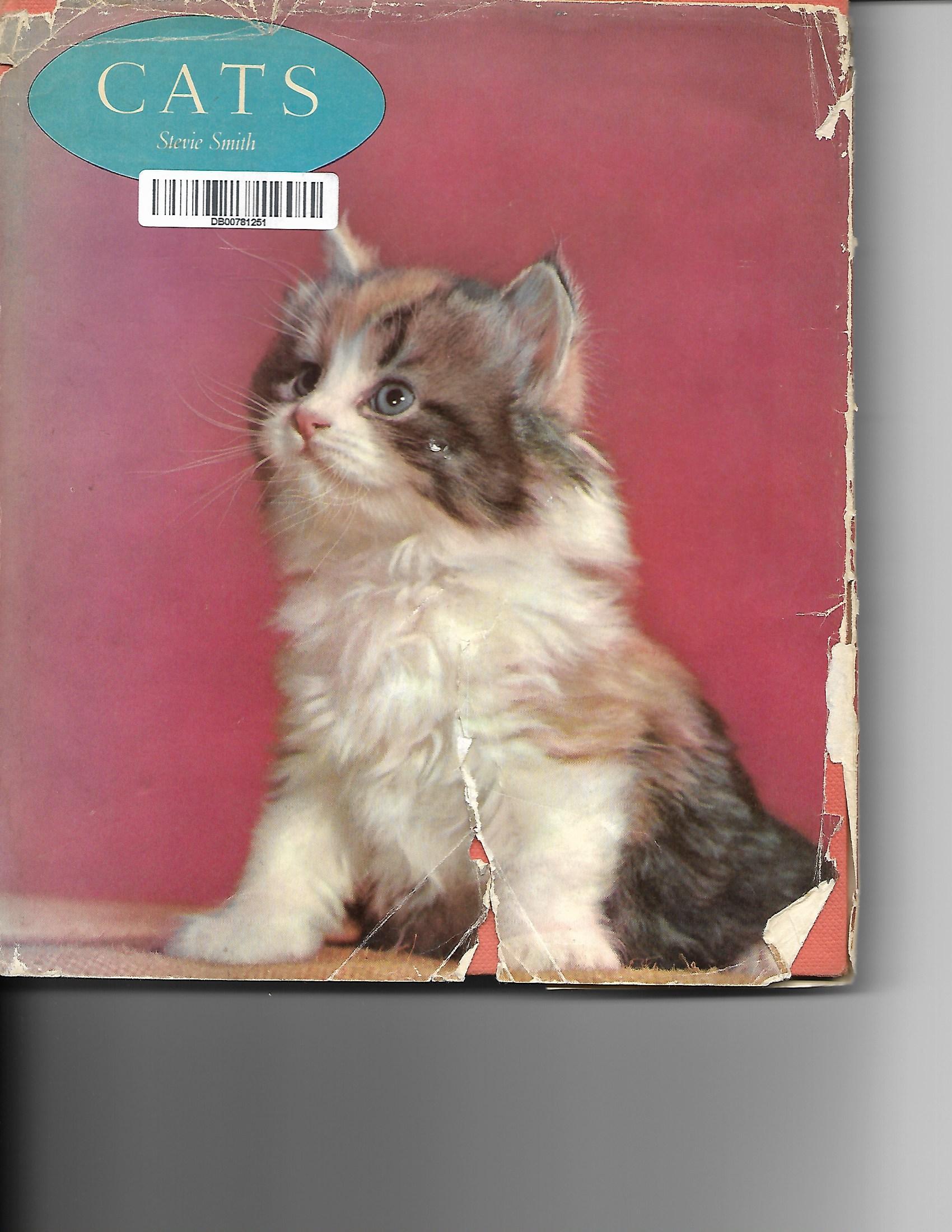 Cats in Colour by Stevie Smith | Goodreads