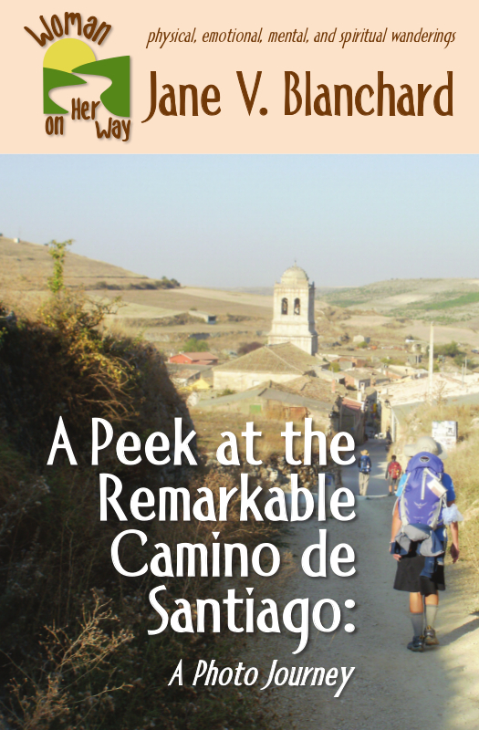 A Peek at the Remarkable Camino de Santiago: A Photo Journey by Jane V ...