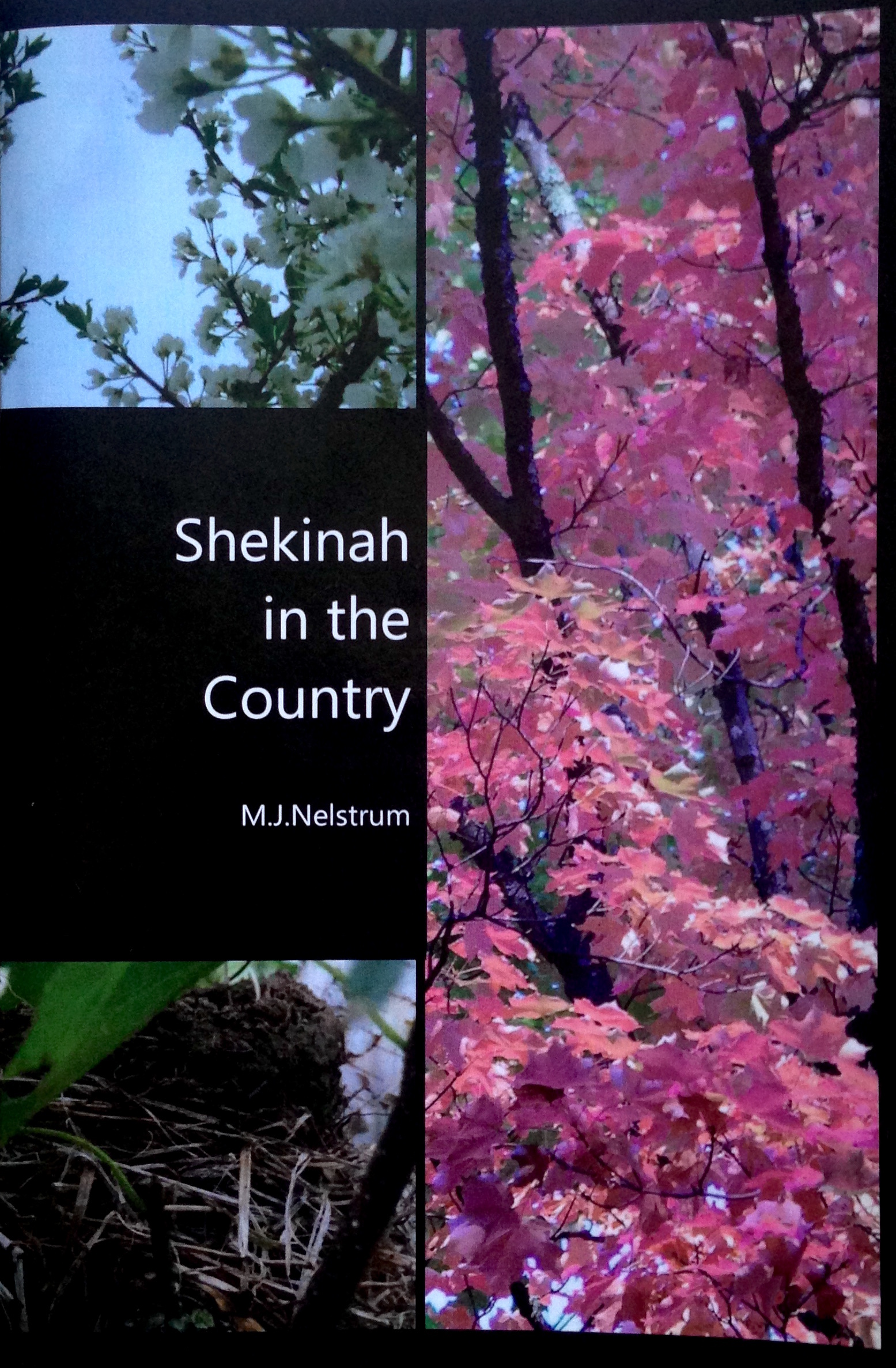 Shekinah in the Country by M.J. Nelstrum | Goodreads