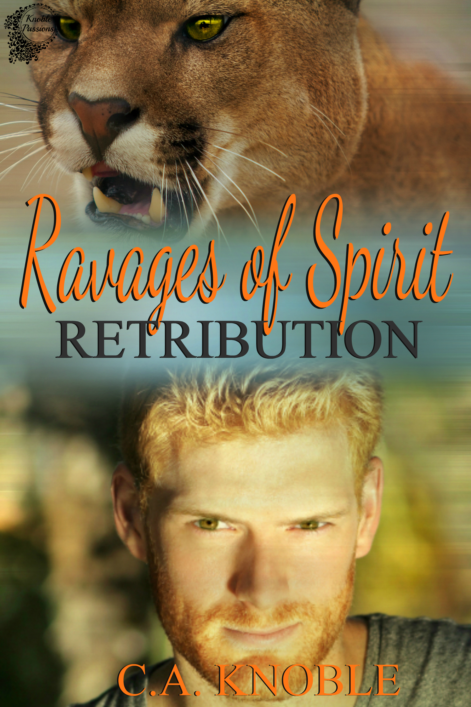 Ravages of Spirit: Retribution (#1) by C.A. Knoble | Goodreads