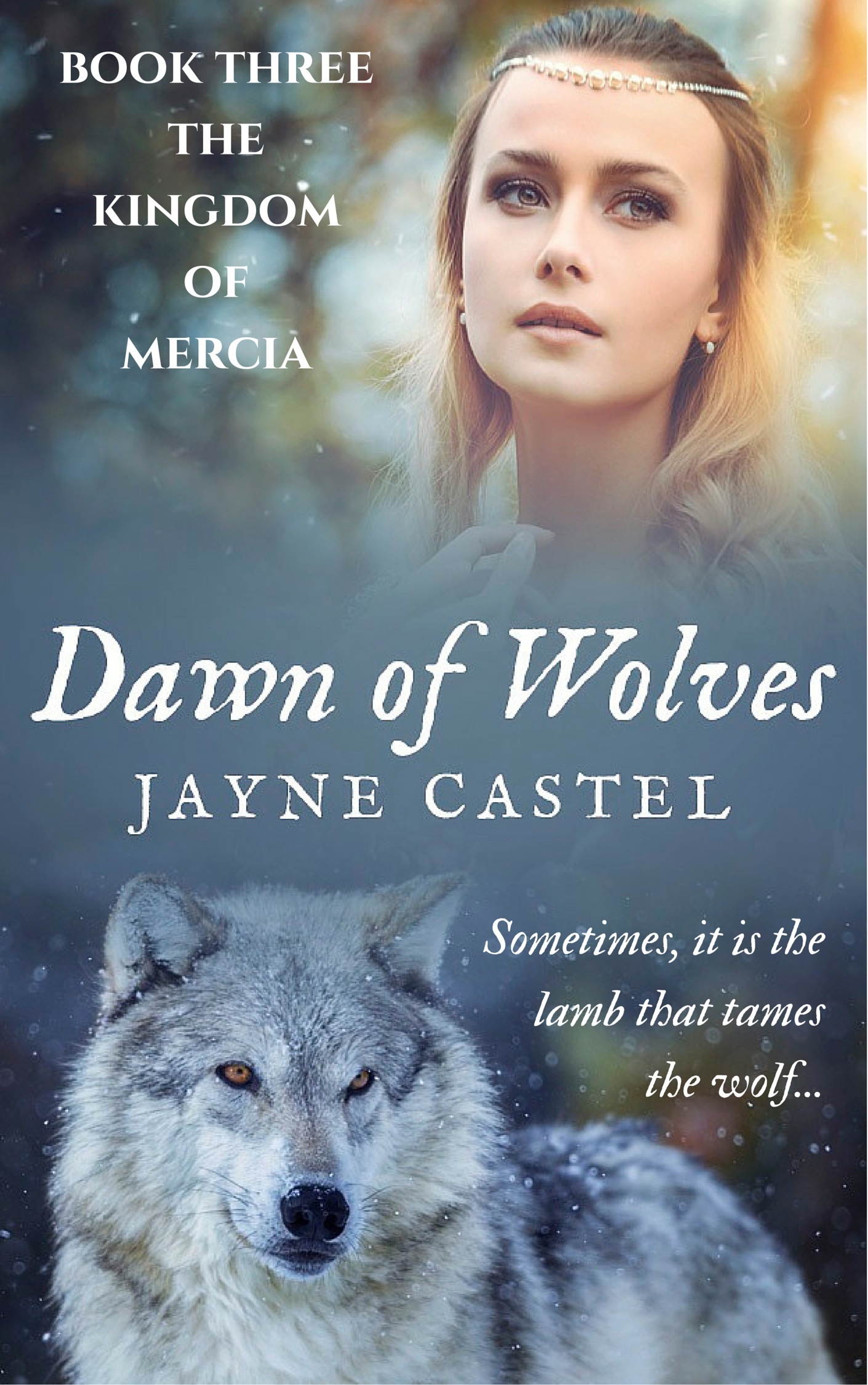 Dawn of Wolves (The Kingdom of Mercia) by Jayne Castel | Goodreads