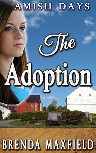 The Adoption (Faith's Story #1) by Brenda Maxfield | Goodreads