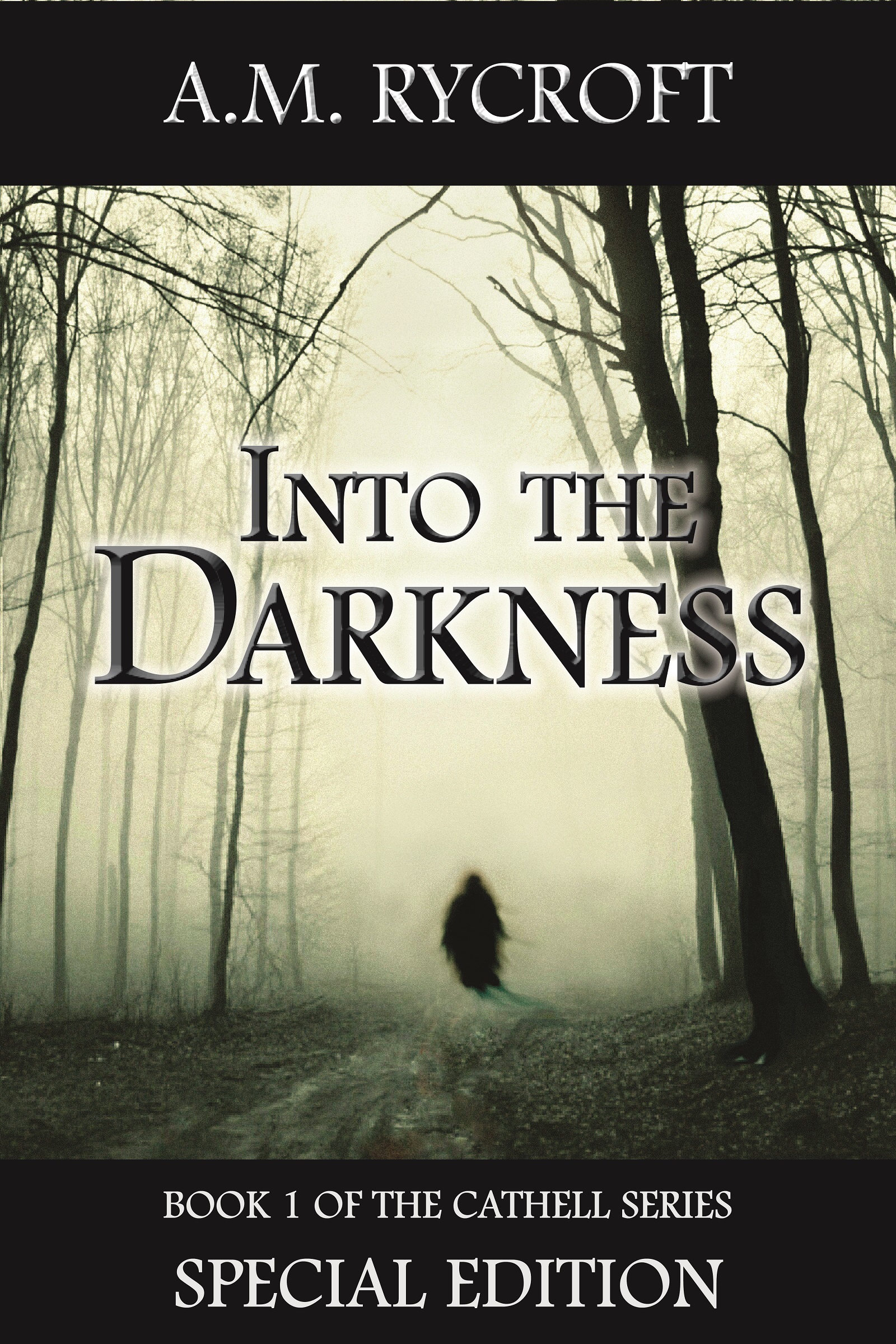 Into the Darkness by A.M. Rycroft | Goodreads