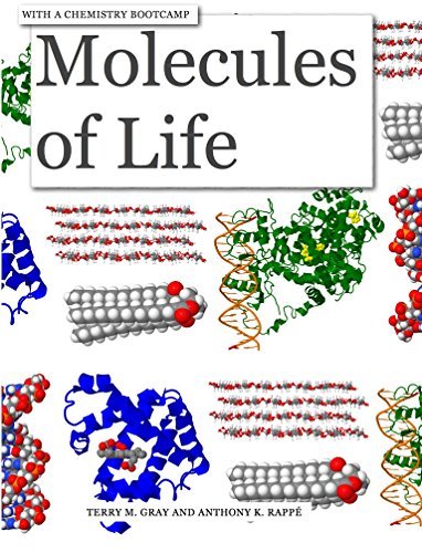 Molecules of Life with a Chemistry Bootcamp by Terry M. Gray | Goodreads