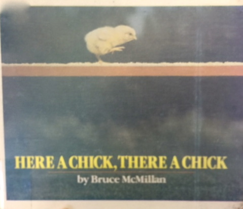 Here a Chick, There a Chick by Bruce McMillan | Goodreads