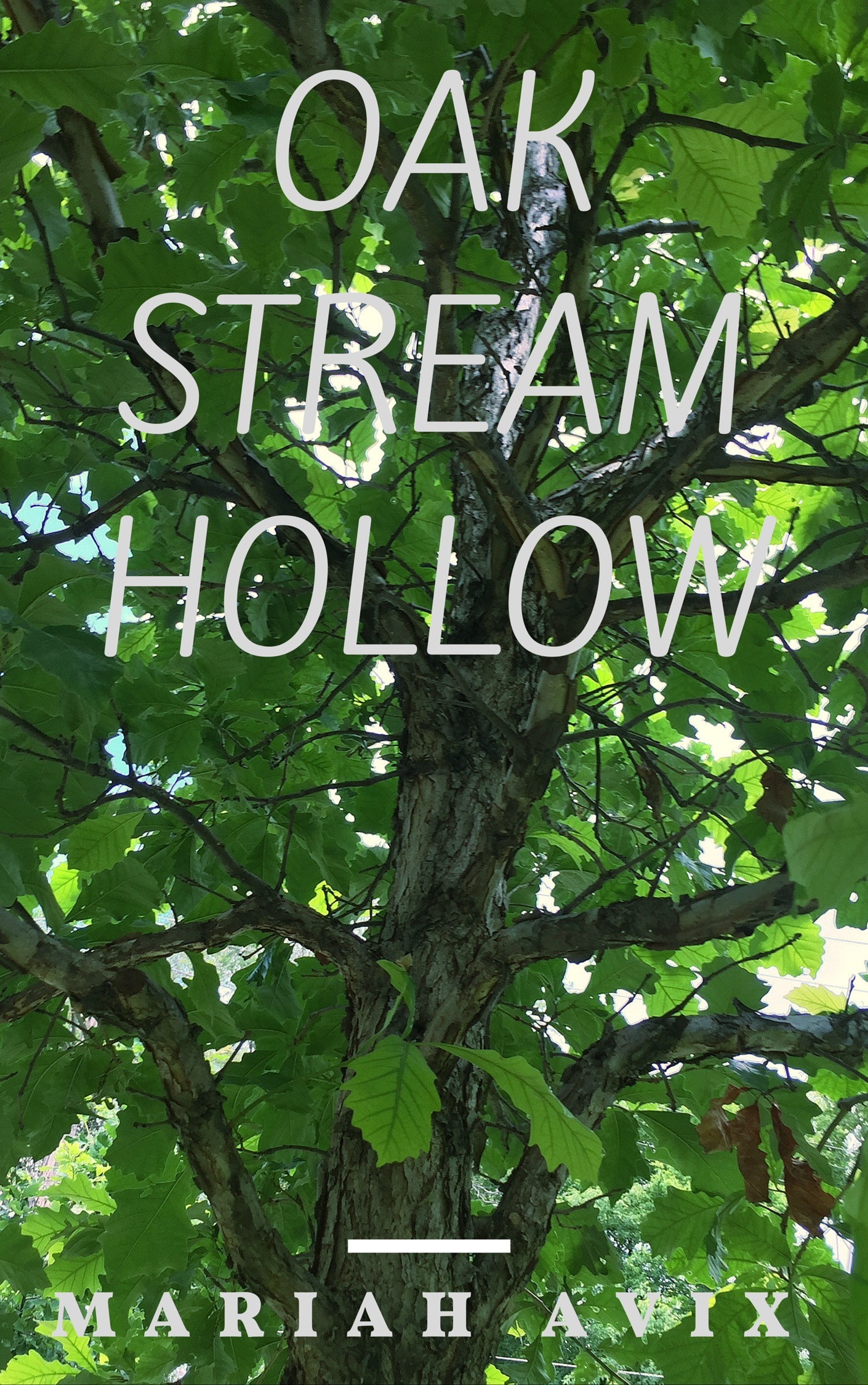 Oak Stream Hollow by Mariah Avix | Goodreads